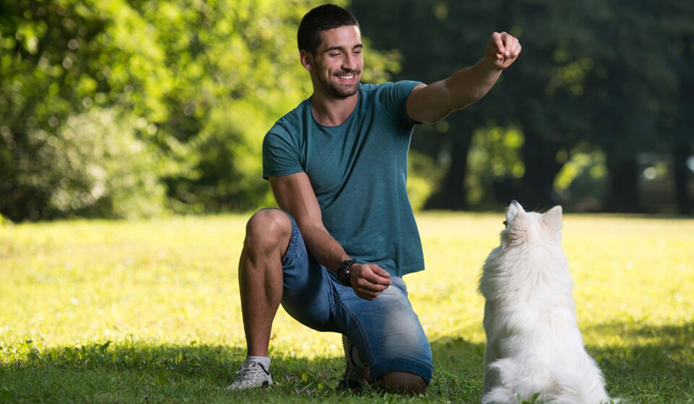 Best Dog Trainers in Noida