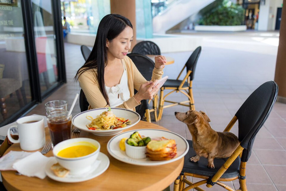 Top Pet-Friendly Cafes in Gurgaon